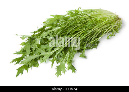 green leaf of mizuna (Japanese mustard greens) plant isolated on white ...