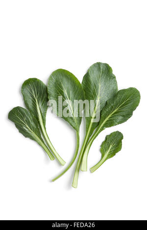 Komatsuna (Japanese mustard spinach Stock Photo - Alamy