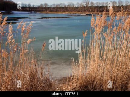 Beautiful lake scene on a sunny autumn afternoon in Sweden Stock Photo ...