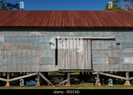 An old storage barn used to hold rice in rural Elton, Louisiana Stock ...