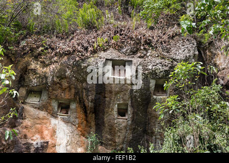 Traditional cave graves carved in the rock on the top of cliff. Lemo is ...