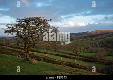 Sheepstor village Burrator Reservoir Dartmoor Devon Stock Photo - Alamy