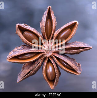A closeup shot of a single pod of dry green bean hanging on a tree ...