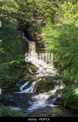Clapham Beck Yorkshire Stock Photo - Alamy
