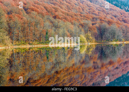 View of Lake Biograd (Biogradsko jezero), Biogradska Gora national park ...
