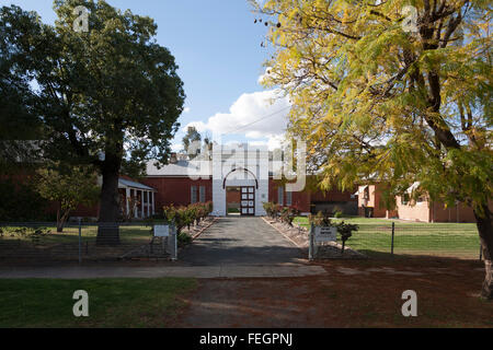 A diverse collection of artifacts showcasing the history of Hay is ...