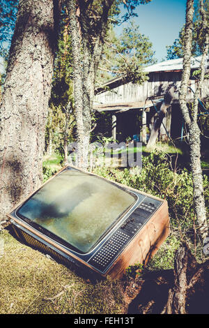 Old analog television in forest Stock Photo - Alamy