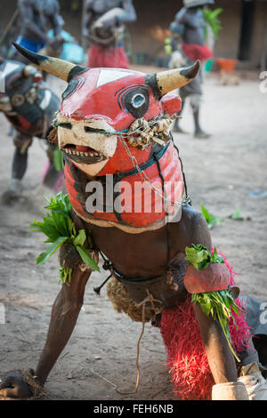 Performers in the vaca bruto initiation ceremony in the village of ...