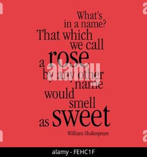 "What's in a name? That which we call a rose by any other name would ...