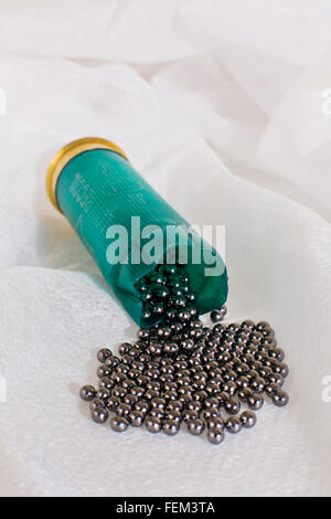 open shot gun cartridge showing lead pellets Stock Photo - Alamy