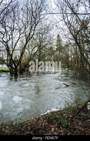 Salisbury, UK. 8th February, 2016. River Wyle burst its banks at ...