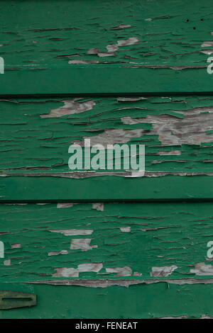 Old dilapidated green wood siding single story house with a rusty sheet ...