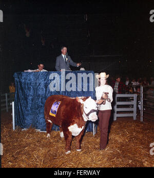 The Austin Livestock Show features the winning cattle of the ...