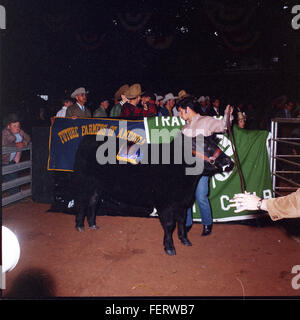 The Austin Livestock Show features the winning cattle of the ...