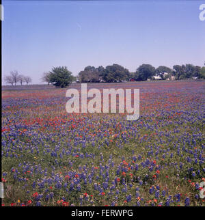 This 1974 photograph captures scenic views of Central Texas, showcasing ...