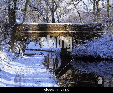 SNOW on BASINGSTOKE CANAL and tow path in winter with Bareley's bridge ...