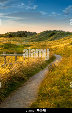 Path through Talacre dunes Stock Photo - Alamy