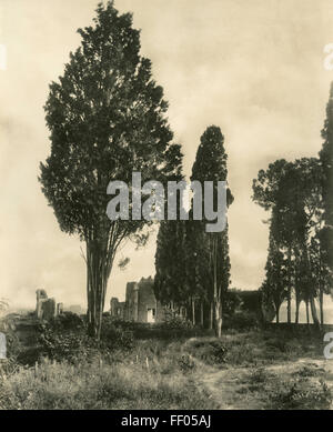 Rome Cypress trees Stock Photo: 103557779 - Alamy