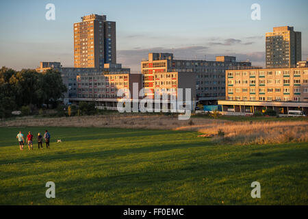 Broadwater Farm Housing Estate , late summer's afternoon, Tottenham ...