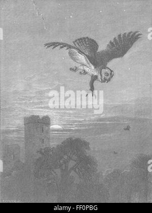 Catching A Tartar Stock Photo - Alamy