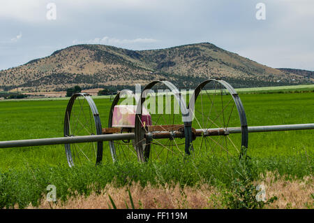 Irrigation system in a field of alfalfa. Eastern Oregon Stock Photo - Alamy