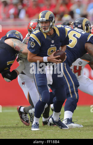 St. Louis Rams quarterback Austin Davis (9) looks to throw against the ...