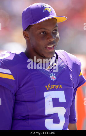 Minnesota Vikings helmet on the sideline against the Detroit Lions ...