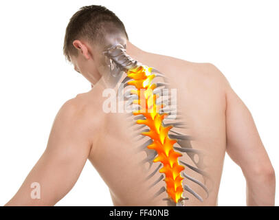 Thoracic spine T 1 bone anatomy for medical concept 3D Illustration ...