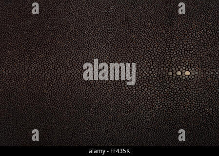 Stingray exotic fish leather, hide, skin in steel color Stock Photo - Alamy