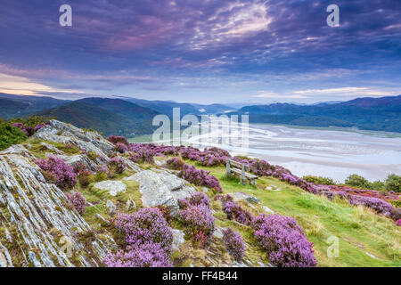 Mawddach Estuary seen from the Panorama Walk above Barmouth, Gwynedd ...