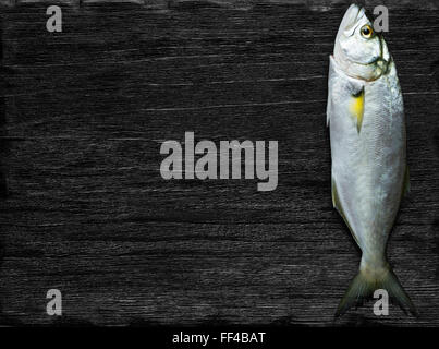 Raw fish (bluefish) over black background Stock Photo - Alamy