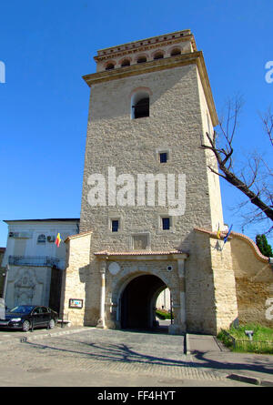 Golia Monastery Iasi with blue sky behind in the summer Stock Photo ...