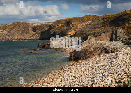 MORAY COASTLINE SCOTLAND NEAR HOPEMAN GOLDEN SANDSTONE CLIFFS WITH ...