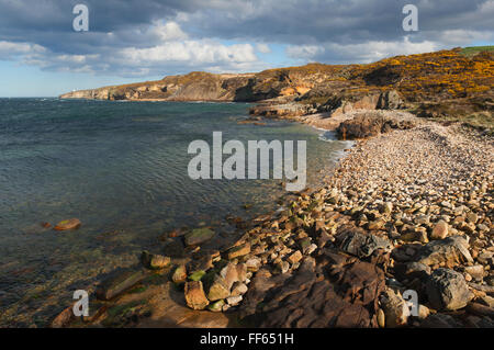 MORAY COASTLINE SCOTLAND NEAR HOPEMAN GOLDEN SANDSTONE CLIFFS WITH ...