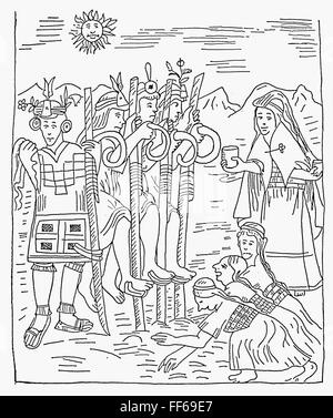 INCA AGRICULTURE. /nIncas using footplows to sow a cornfield. Drawing ...