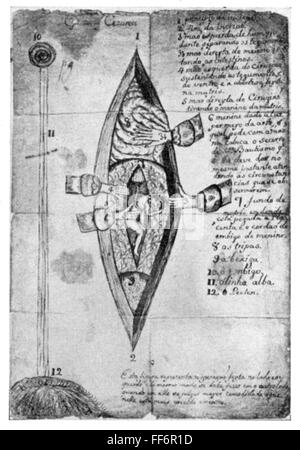 medicine, birth / gynecology, birth by Caesarean and execution of the ...