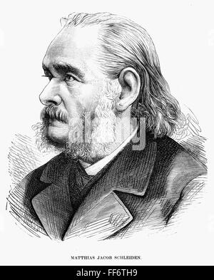 MATTHIAS SCHLEIDEN /n(1804-1881). Matthias Jakob Schleiden. German ...