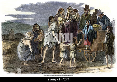 IRISH POTATO FAMINE, 1846-7. /n'Bridget O'Donnel and Children.' Wood ...