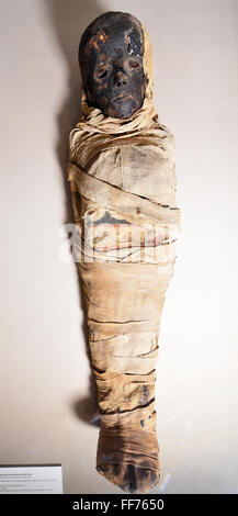 Hildesheim, Germany. 11th Feb, 2016. The replication of a mummy ...