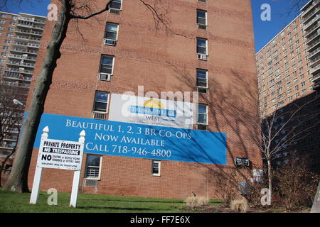 A view of the 'Trump Village' in the Brooklyn borough of New York, USA ...