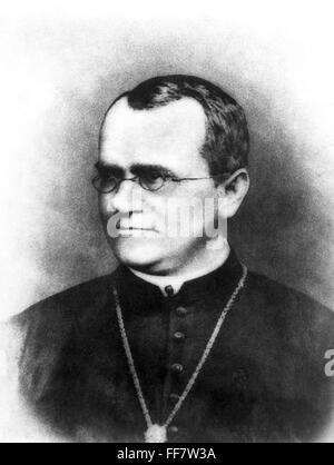 GREGOR MENDEL Austrian monk and botanist 1822 to 1884 whose work ...