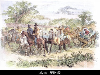 BURKE & WILLS EXPEDITION. /nThe departure of the ill-fated Robert O ...