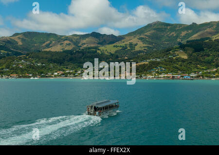 Akaroa, Canterbury, New Zealand Stock Photo - Alamy