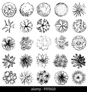 A set of treetop symbols, for architectural or landscape design Stock ...
