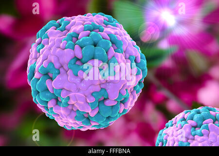Enterovirus D68, computer model. Enterovirus D68 is an RNA (ribonucleic ...
