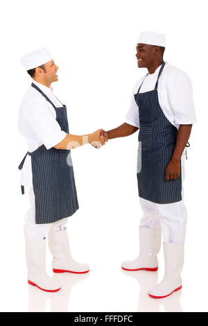 multiracial handshake on white background Stock Photo - Alamy