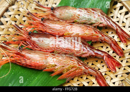 morotoge shrimp, shima ebi, japanese seafood isolated Stock Photo - Alamy