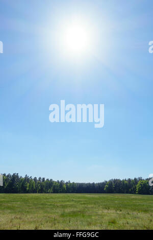 View of the countryside near Berlin, Germany in summer Stock Photo - Alamy