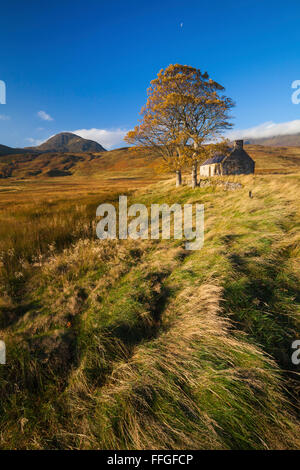 An abandoned building at Lettermore on Loch Loyal, Sutherland, Scotland ...