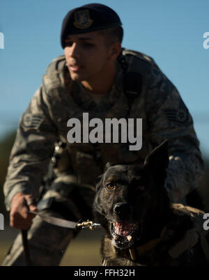 Military working dogs and handlers with the 802nd Security Forces ...